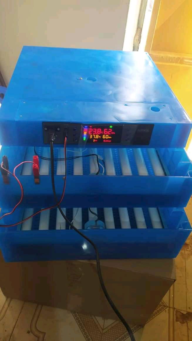 Wasp Auto Dc Ac 112 egg incubator - toptoolsmachineries